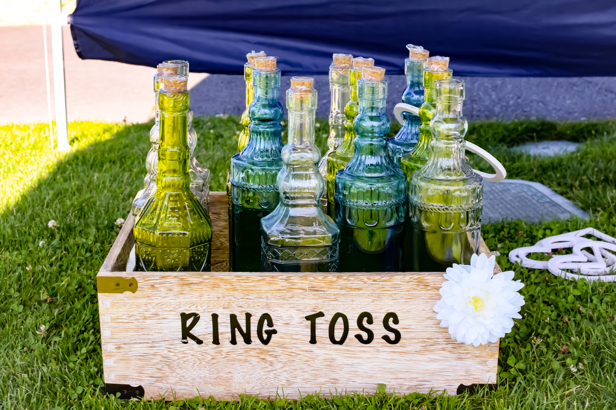 20 Backyard Games to Play This Summer | Fig Leaf
